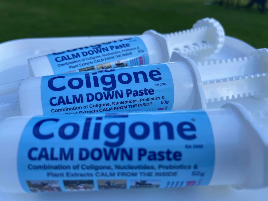 Coligone – Equine Therapy Online
