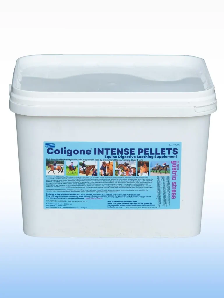 Digestion – Equine Therapy Online